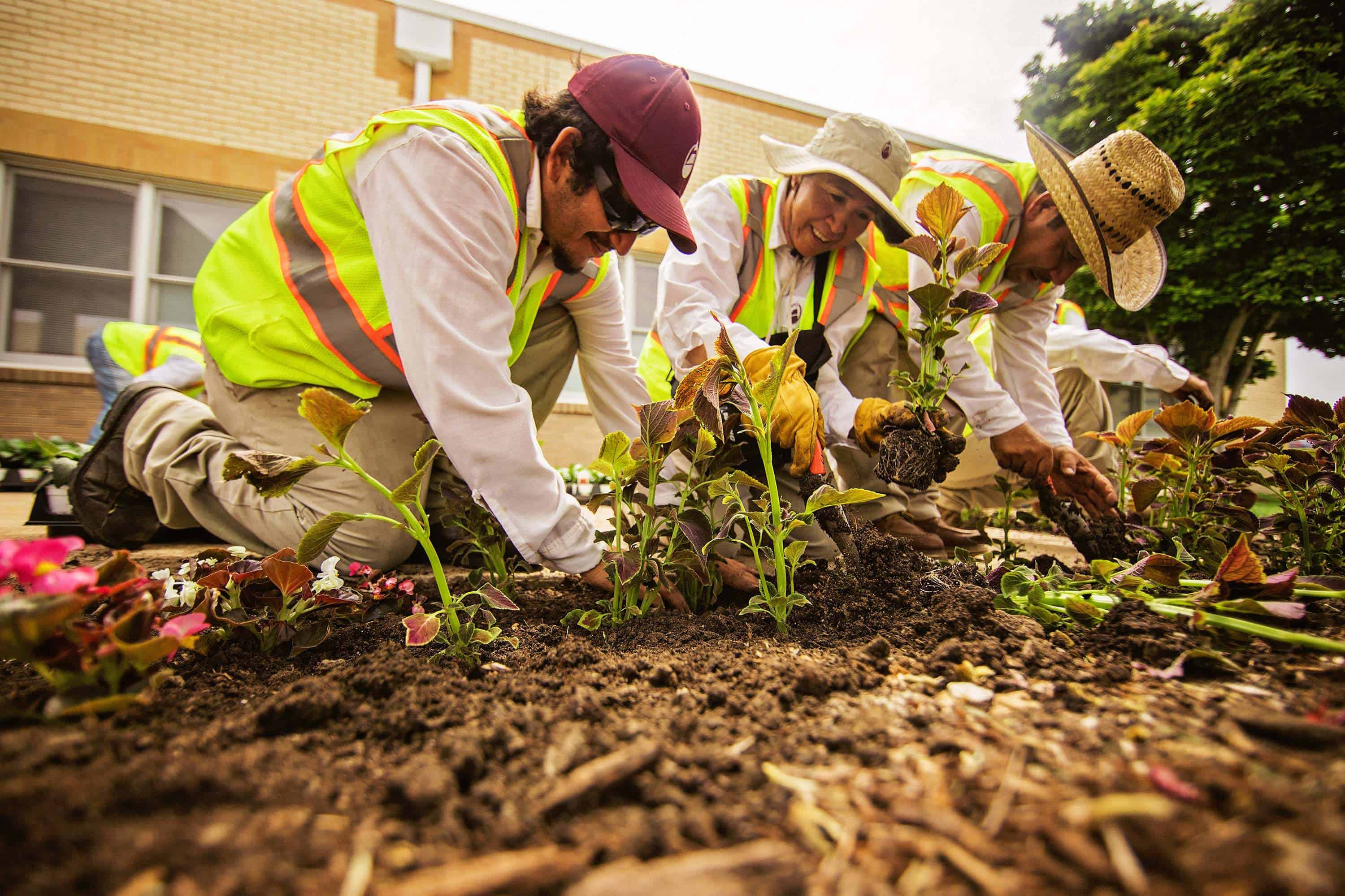 Elevating The Industry In The Public’s Eye – Focal Pointe