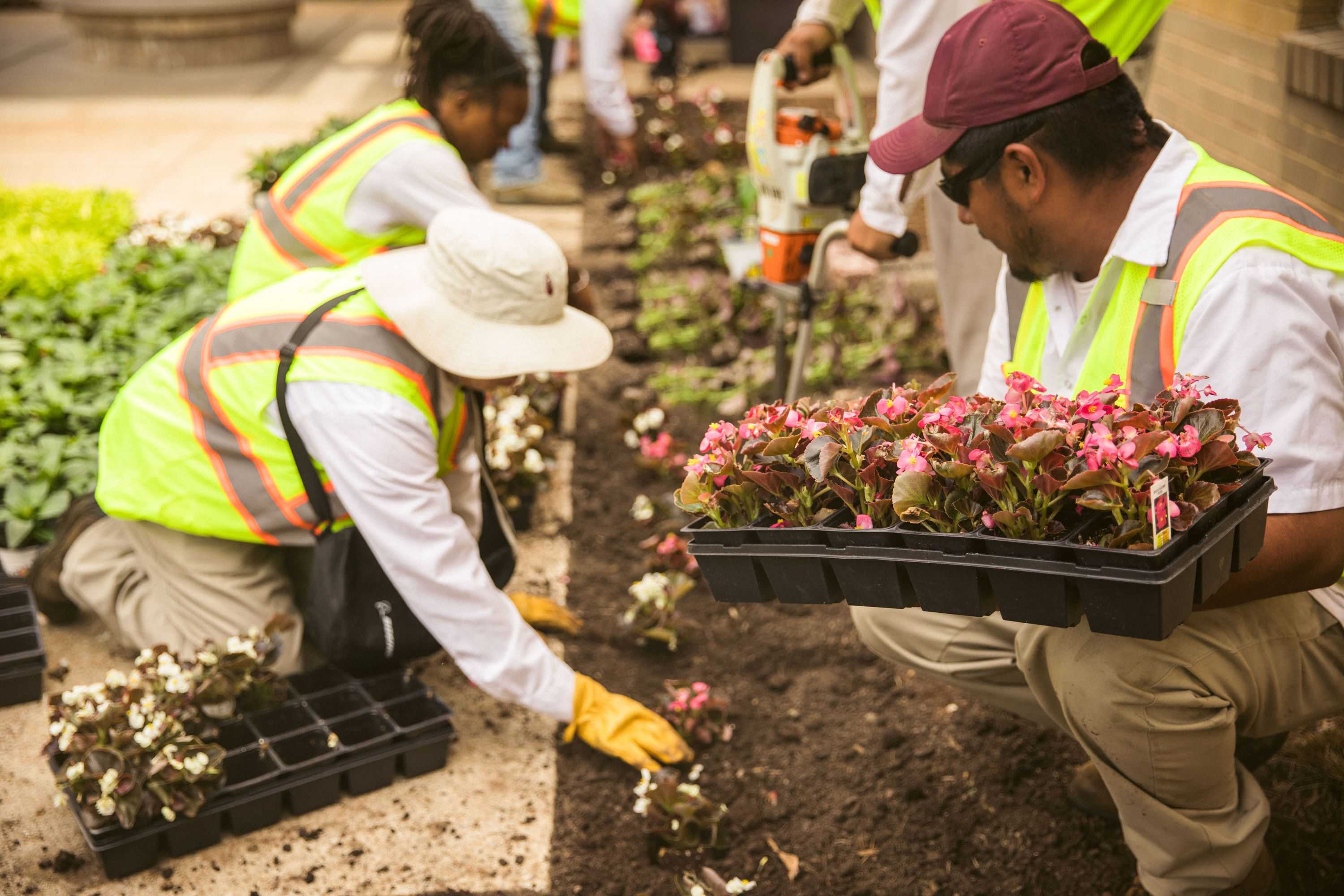 Commercial Services – Focal Pointe Outdoor Solutions